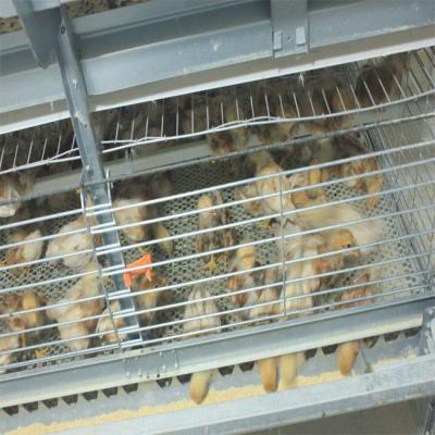 China 6-Tier ZnAl Poultry Cage for Broiler Farming - 4090mm Height with 288 Bird Capacity - Hot-Dip Galvanized Steel Construction for sale