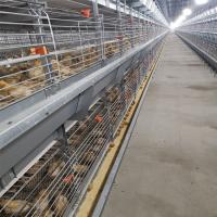 China 3-9 Floor Farm Battery Chicken Cage With Automatic System High Density for sale