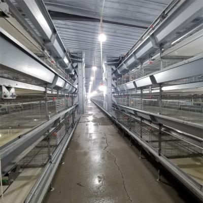 China Fully Automated Hot-Dip Galvanized H-Type Broiler Cage System for High-Density Poultry Farming for sale