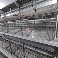 China Hot Galvanized Battery Chicken Cage For Broiler 17 Chicks / Cell for sale
