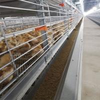 China 3-9 Floor Farm Battery Chicken Cage With Automatic System High Density for sale