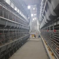 China H Type Broiler Chicken Cage 3 to 8 Tiers 85x62.5cm Cell Hot Dip Galvanized Poultry Equipment for sale