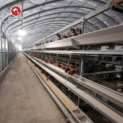 China H Type Layer Chicken Cage Hot Dipped Galvanised Chicken Farm for sale