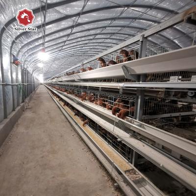 China 5 Layers Hot Dipped Galvanized Chicken Cage System - 120-160 Bird Capacity, 180×200cm Base Size for sale