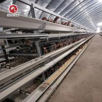China Automatic Layer Cage System With Ventilation 4 Levels Capacity For 120 Chickens for sale