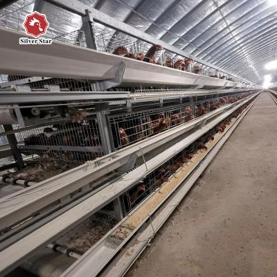 China Newest Design Of H Type Layer Chicken Poultry Cage for sale