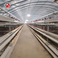 China H Type 3 Tiers Layer Chicken Cage System 120 Birds / Set for sale