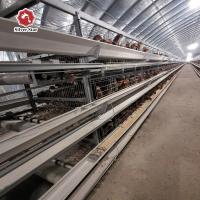 China H Type 3 Tiers Layer Chicken Cage System 120 Birds / Set for sale