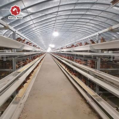 China H Type 3 Tiers Chicken Poultry Cage 120 Birds Capacity 180x200x260cm with 20-Year Service Life for sale