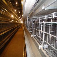 China Long Lifespan cold galvanized Battery Chicken Cage For Chicken Cage for sale