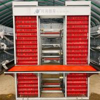 China Q235 72 birds / set Layer Chicken Steel Cage With Full Automatic System for sale
