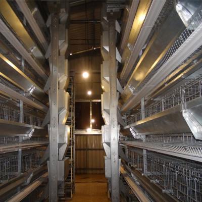China 260 Birds 6 Tiers ZnAl Poultry Cage for Broiler Chicken Farming Equipment for sale