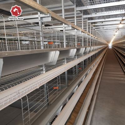 China Automatic Layer Cage System With Ventilation 4 Levels Capacity For 120 Chickens for sale