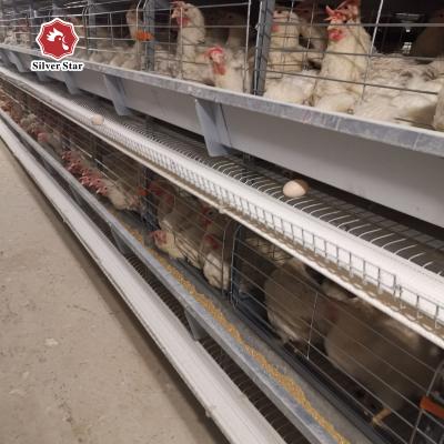 China Hot Galvanized Long Lifespan Layer Battery Cages For Farm for sale