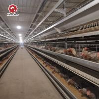 China Breeding Equipment Layer Chicken Cage H Type 3 Tiers 54 birds / set for sale