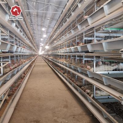 China Q235 72 birds / set Layer Chicken Steel Cage With Full Automatic System for sale