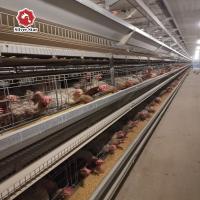 China 9 Layers / Cell 380V Battery Chicken Cage Provide Free Design for sale