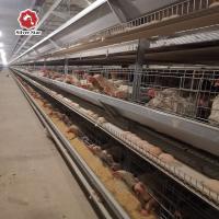 China 3Rows 28sets / Row A Type Wire Poultry Cage Farming Hens Equipments for sale