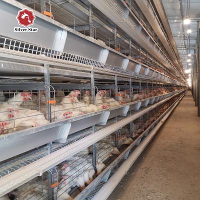 China H Type Automatic Battery Cage System for Poultry - 3-8 Tiers, 54-144 Birds Capacity, 65×62.5×50cm Cells for sale