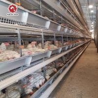 China Four-tier Ventilated Automatic Layer Cage System For 120 Chickens. for sale