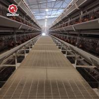 China Layer Chicken Cage 4 Tiers 72 Birds High Brood Survival Rate Broiler Cage for Little Chick for sale