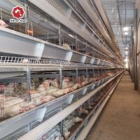 China Anti Rust H Type Layer Battery Cages For Laying Hens 108 birds / set for sale