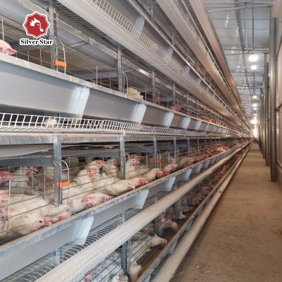 China Anti Rust H Type Layer Battery Cages For Laying Hens 108 birds / set for sale