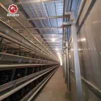 China Anti Rust H Type Layer Battery Cages For Laying Hens 108 birds / set for sale