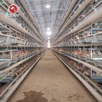 China Galvanized Automatic 4 Layer Battery Poultry Chicken Cage for Layer Farming 1950x2300x1900mm for sale