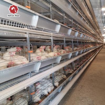 China Complete Automatic H Type Layer Poultry Cage 380V 3 to 8 Tiers 54-144 Birds for sale