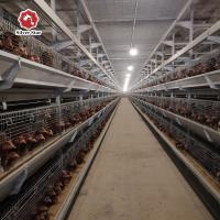 China Galvanized Poultry Broiler Cage Laminated Multi Level Chicken Coop for sale