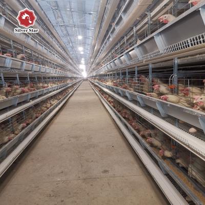 China Breeding Battery Chicken Cage 126 Birds / Set Full Automatic Equipment for sale