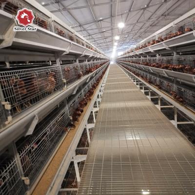 China Q235 Steel Battery Layer Chicken Cage 4 Tier 72 Hens Breeding Poultry Equipment for sale