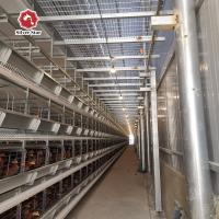 China Poultry Farm Automatic A Type Galvanized Layer Egg Laying Chicken Battery Cage System for sale