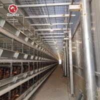 China 650x1250x2220mm Battery Poultry Cage H Type Automatic For Layer for sale