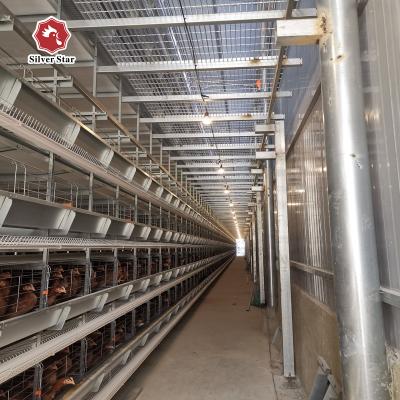 China Featuring Four Tiers Ventilated Automatic Layer Cage System  For 120 Birds In Battery Cages. for sale