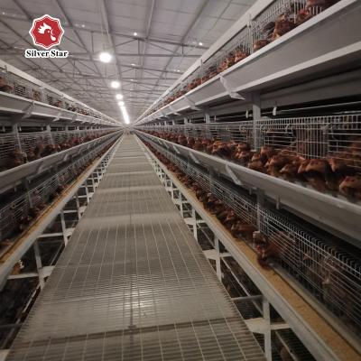 China H Type Automatic Broiler Chicken Cage 3 to 8 Tiers for 1 to 45 Days Chicken Farm for sale
