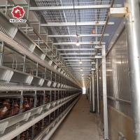 China Q235 Automatic Chicken Layer Poultry Cage Corrosion Resistance for sale