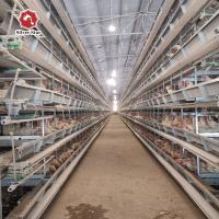 China 650x1250x2220mm Battery Poultry Cage H Type Automatic For Layer for sale