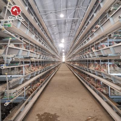 China H Type 4 Tiers Welded Wire Mesh Chicken Poultry Cage 72 Birds per Set 65x218x330cm for sale