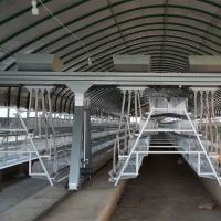 China A Type 3/4 Tiers Layer Chicken Cage With Feeding Machine for sale