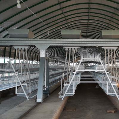 China A Type 3/4 Tiers Layer Chicken Cage With Feeding Machine for sale