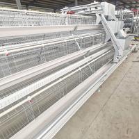 China Poultry A Type Layer Chicken Cage Anti Corrosive Galvanized for sale