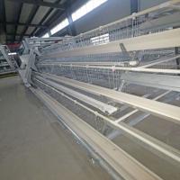 China Poultry A Type Layer Chicken Cage Anti Corrosive Galvanized for sale