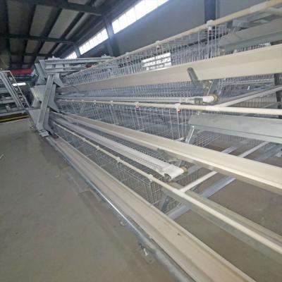 China Poultry A Type Layer Chicken Cage Anti Corrosive Galvanized for sale
