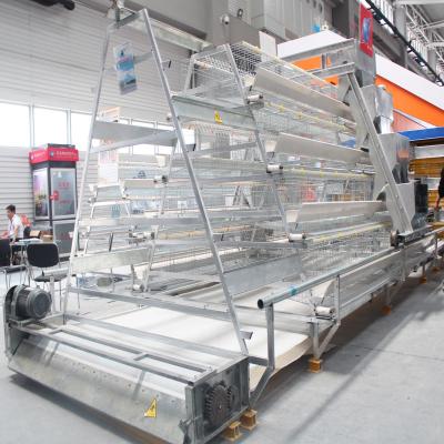 China 3 Tier A Frame Layer Chicken Cage 20160 Birds Capacity Galvanized Steel for sale