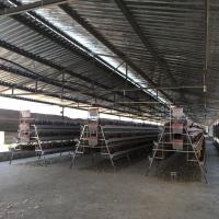 China Hot Dipped Galvanized Layer Chicken Cage 360 degree rotating design for sale