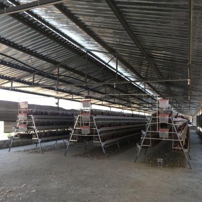 China Hot Dipped Galvanized Layer Chicken Cage 360 degree rotating design for sale