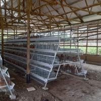 China H Type Layer Chicken Cage Hot Dipped Galvanised Chicken Farm for sale