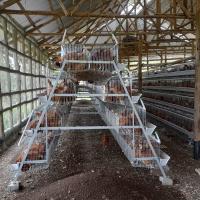 China 3 4 5 Tier A Frame Layer Cages for Chicken Poultry Laying Hens House Equipment 1950x2080x1500mm for sale